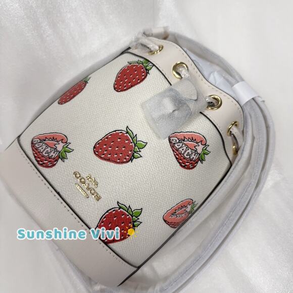 Coach | Bags | Nwt Coach Mini Bucket Bag Strawberry Print New Cal1 ...